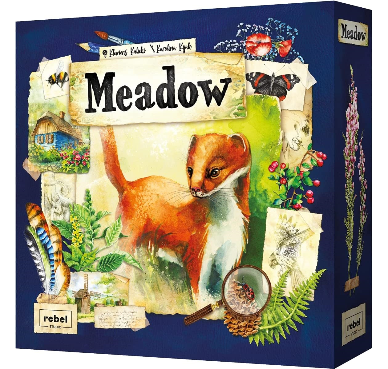 66794740 | Meadow